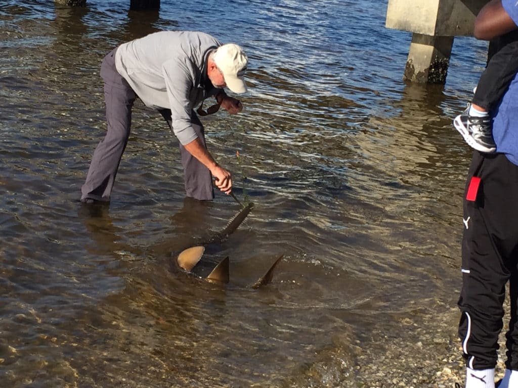 About Us - Calusa Waterkeeper