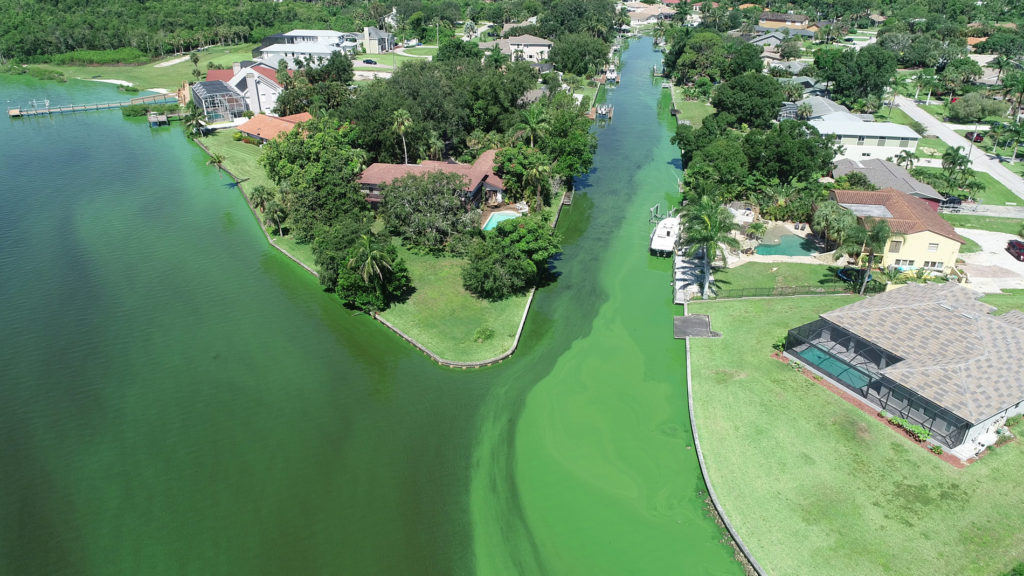 Southwest Florida Water Quality Issues - Calusa Waterkeeper