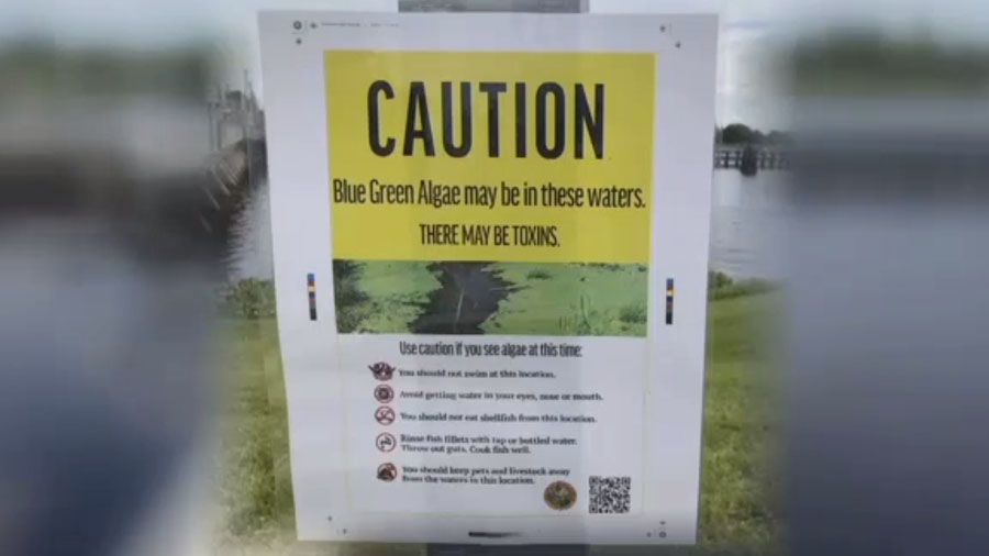 Army Corps Places Blue-green Algae Warning Signs at Franklin Lock ...