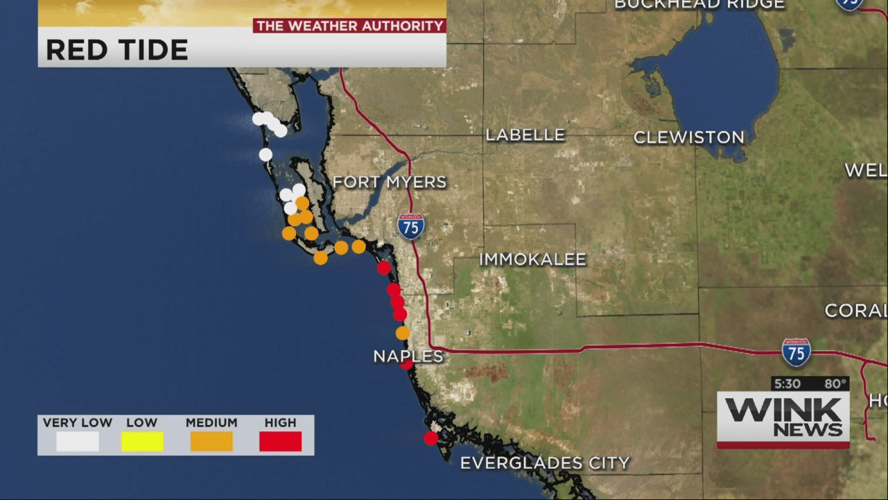 Studying How Highest Levels of Red Tide Affect People Along SWFL Coast ...