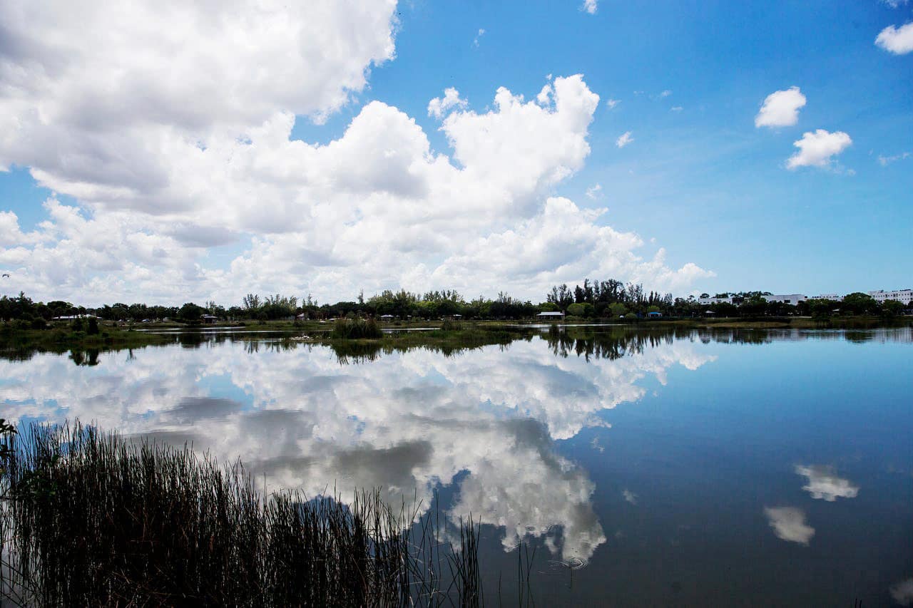 Connecting the Dots for Restoring Florida's Waters - Calusa Waterkeeper