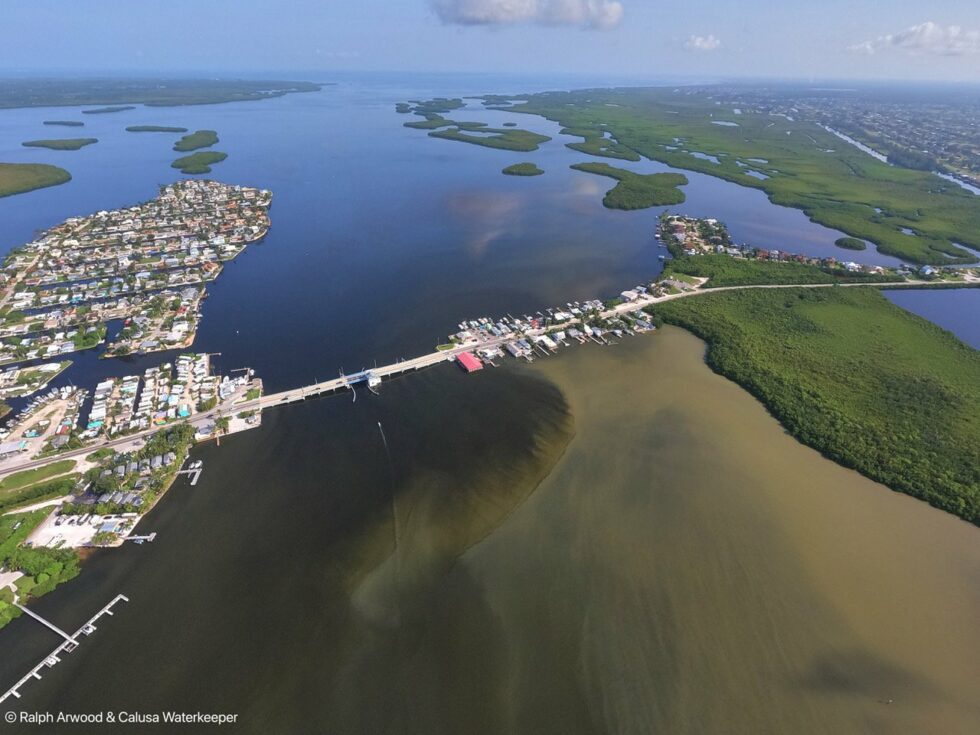 Matlacha Pass Water Quality Archives - Calusa Waterkeeper