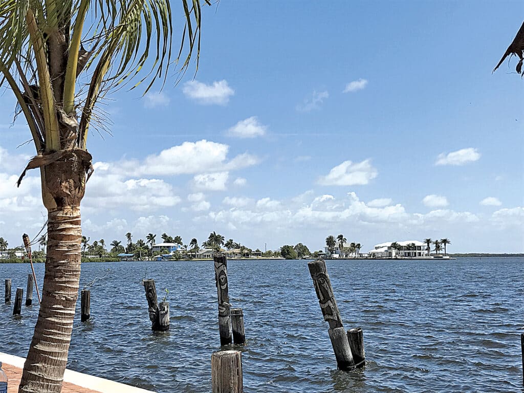 HAB Task Force feels public outcry may be the only way to affect change ...