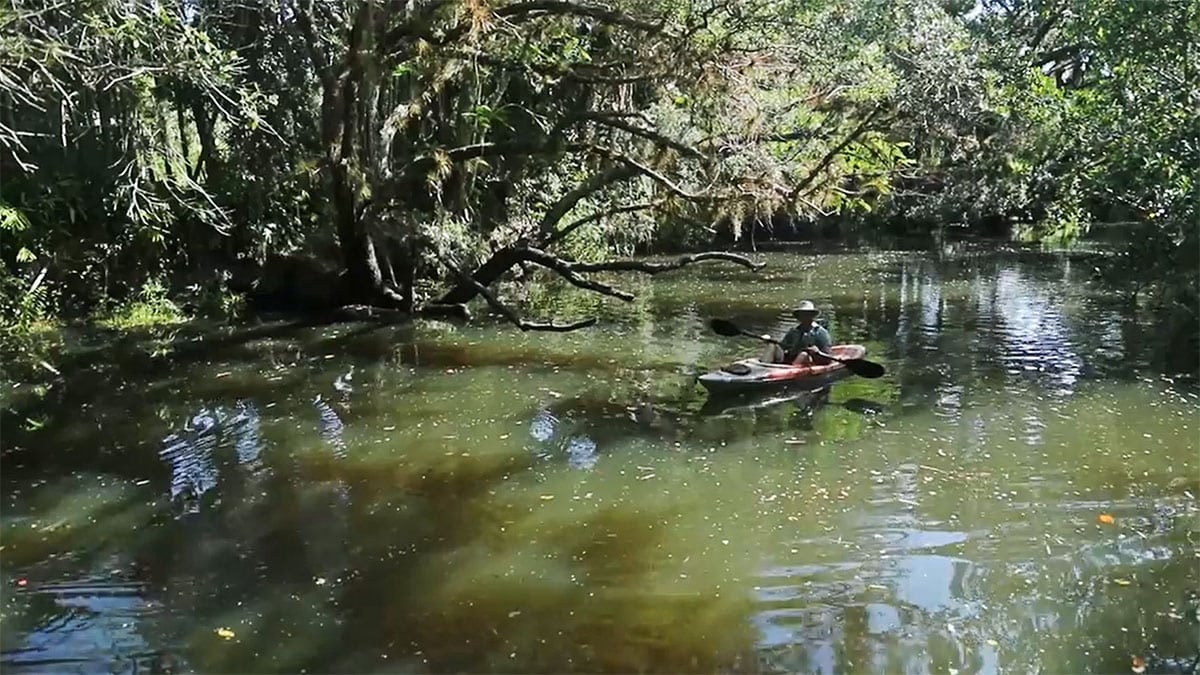 Fecal Bacteria Counts High in Many Protected Rivers & Creeks in Lee ...