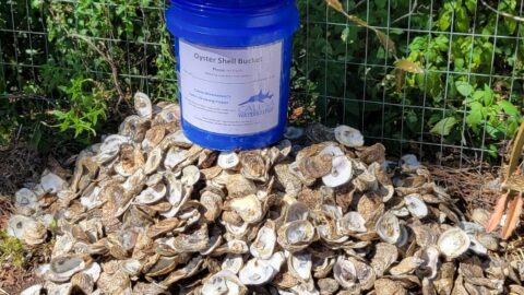Vertical Oyster Gardens - Calusa Waterkeeper