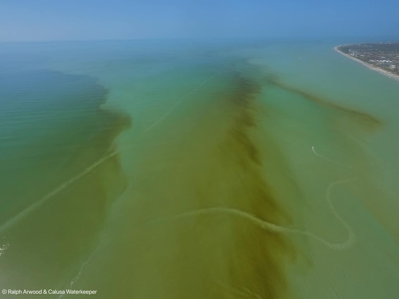 Red Tide Causes Respiratory Irritation and Hundreds of Thousands of ...