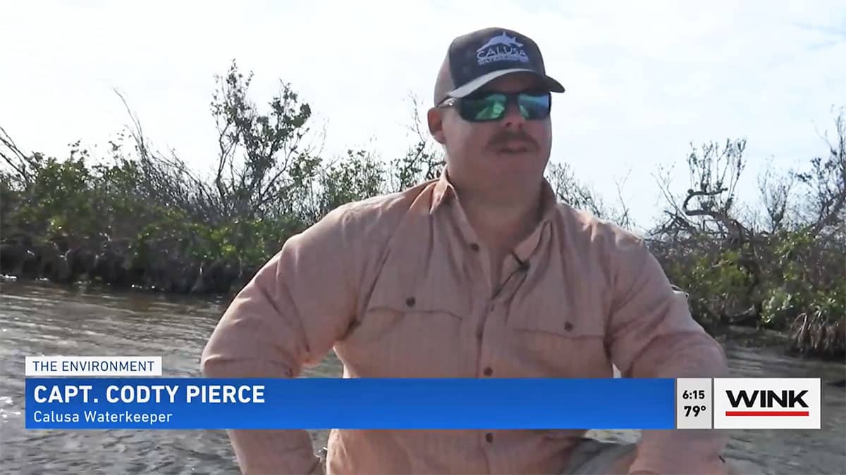 Understanding How Mangroves Defend the Coastline of Southwest Florida ...