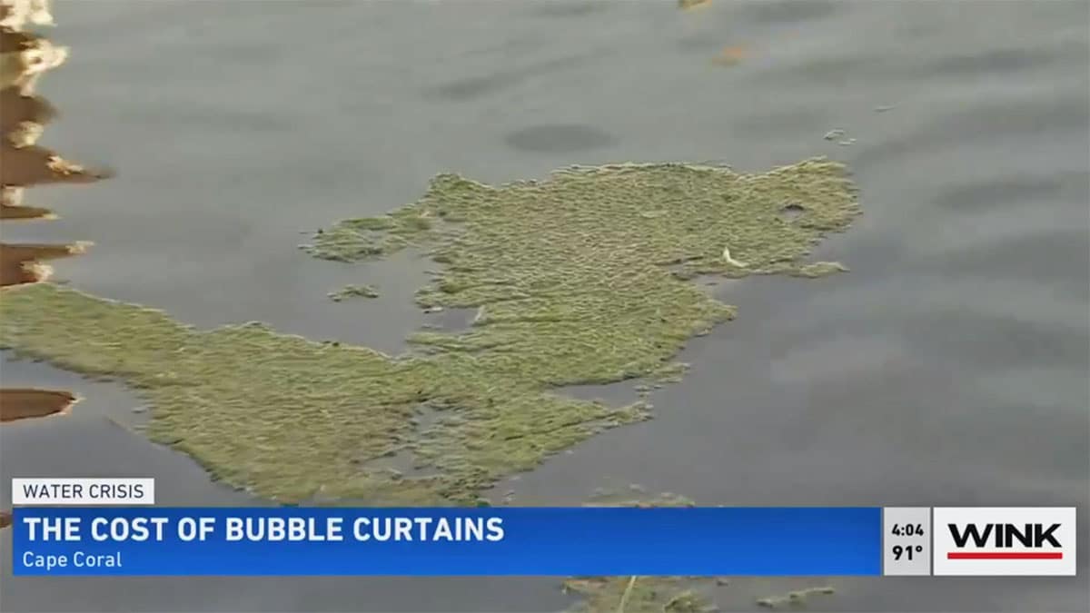 Who Pays for the Technology Aimed at Keeping Blue-Green Algae at Bay in ...
